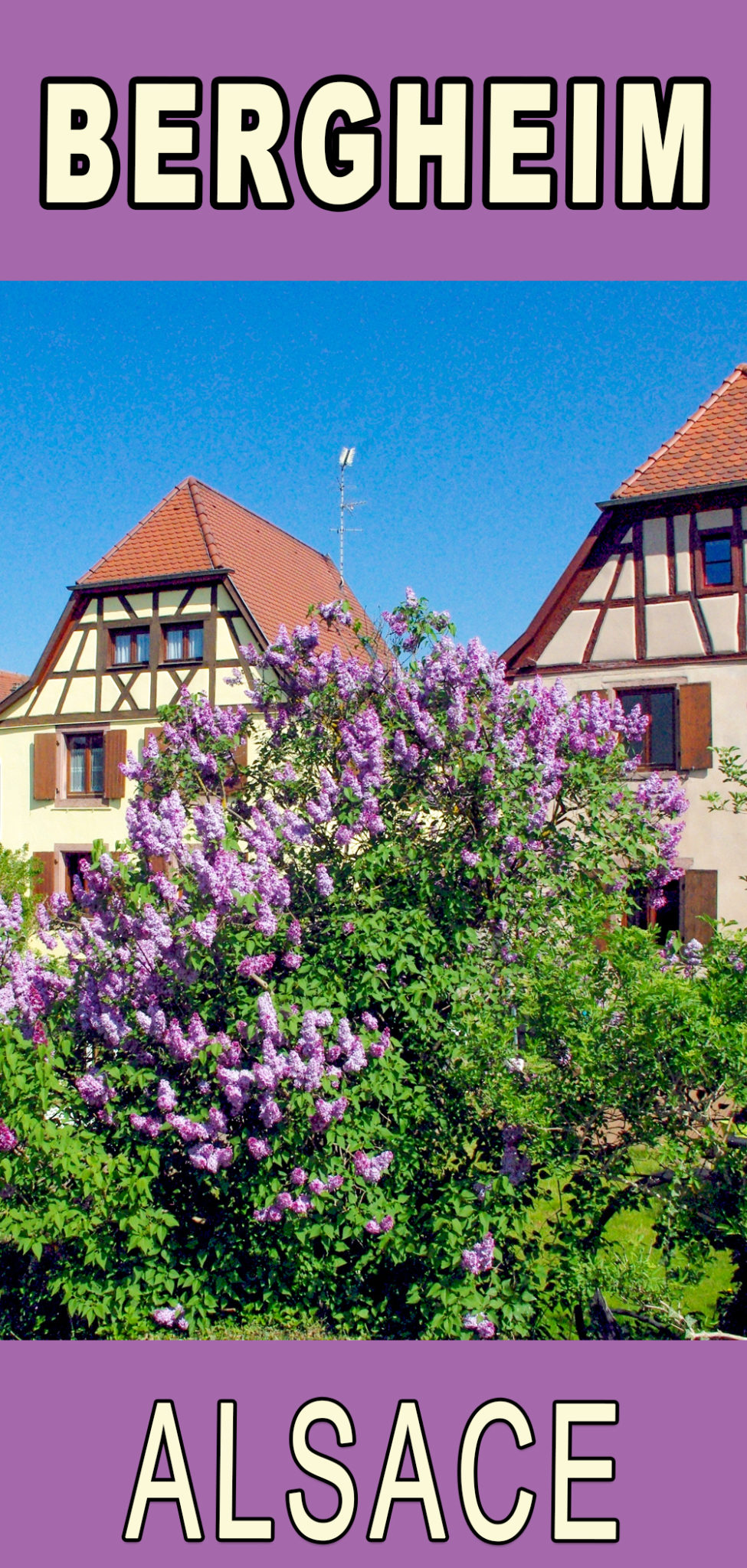 Comment se balader autour des remparts de Bergheim ? - Mon Grand Est