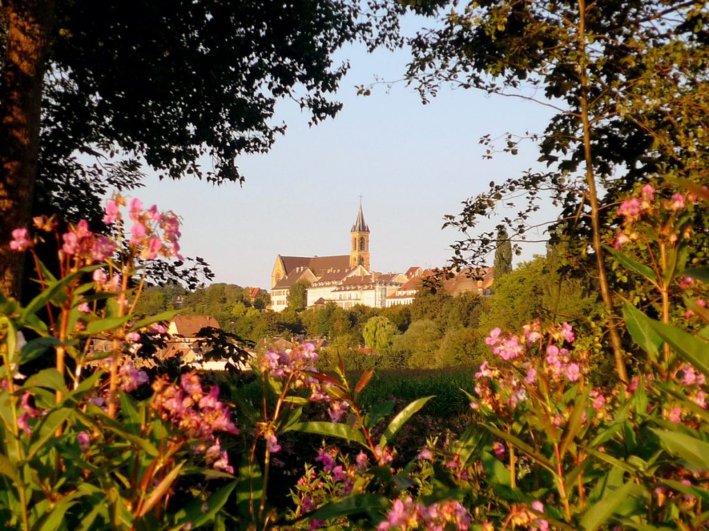 Le Sundgau : un pays à découvrir au sud de l'Alsace - Mon Grand Est