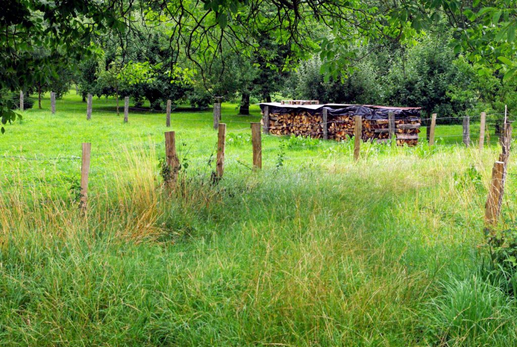 Le Sundgau : un pays à découvrir au sud de l'Alsace - Mon Grand Est
