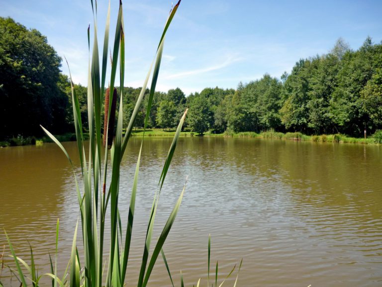 Le Sundgau : un pays à découvrir au sud de l'Alsace - Mon Grand Est