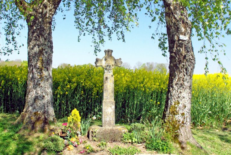 Le Sundgau : un pays à découvrir au sud de l'Alsace - Mon Grand Est