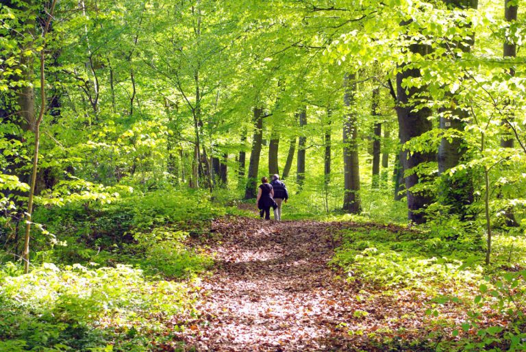 Le Sundgau : un pays à découvrir au sud de l'Alsace - Mon Grand Est