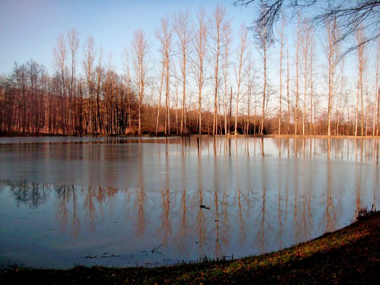 Le Sundgau : un pays à découvrir au sud de l'Alsace - Mon Grand Est