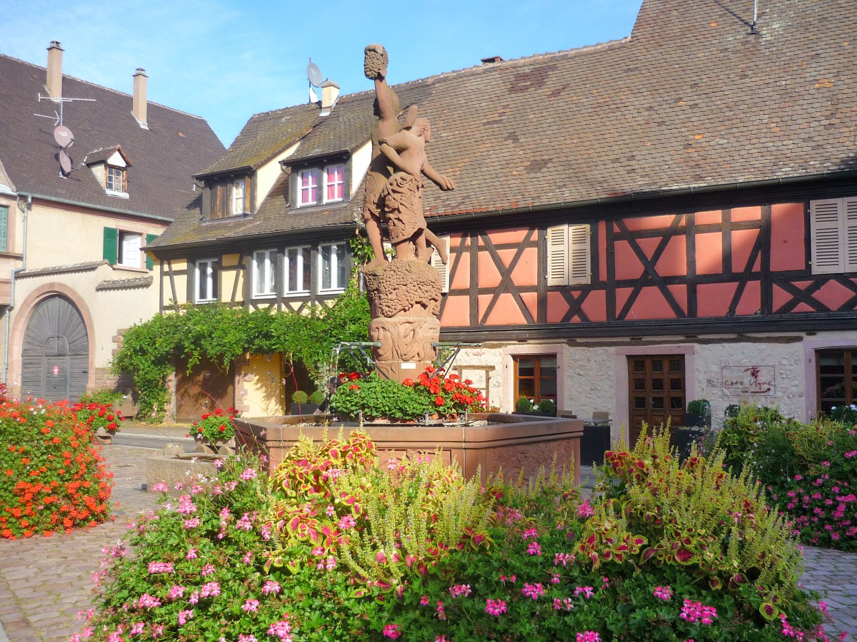 Découvrir Kientzheim, village du vignoble alsacien - Mon Grand Est