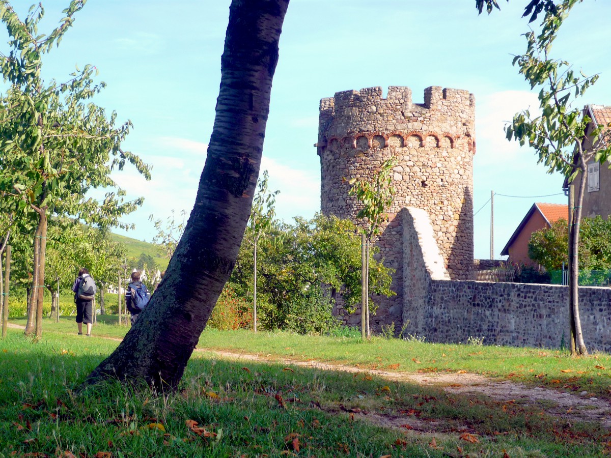 Découvrir Kientzheim, village du vignoble alsacien - Mon Grand Est