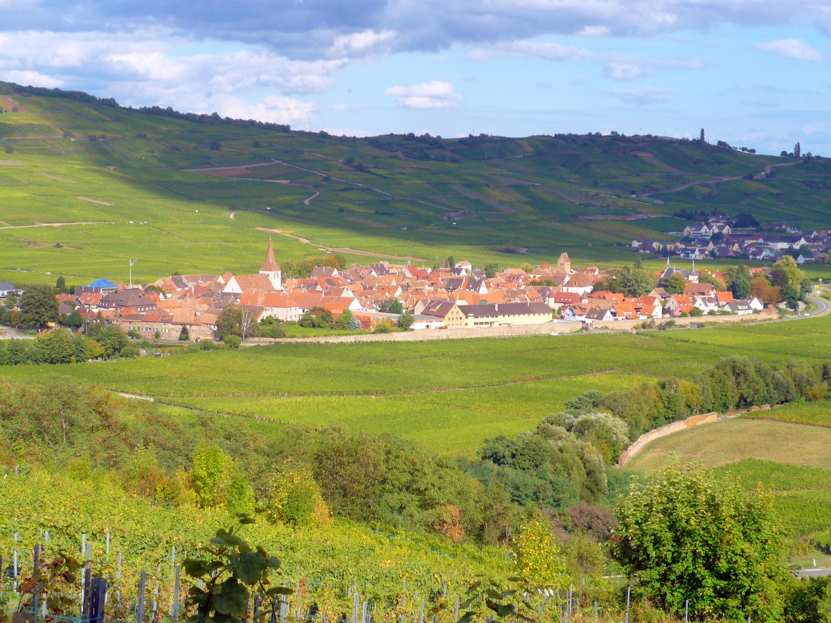 Découvrir Kientzheim, village du vignoble alsacien - Mon Grand Est