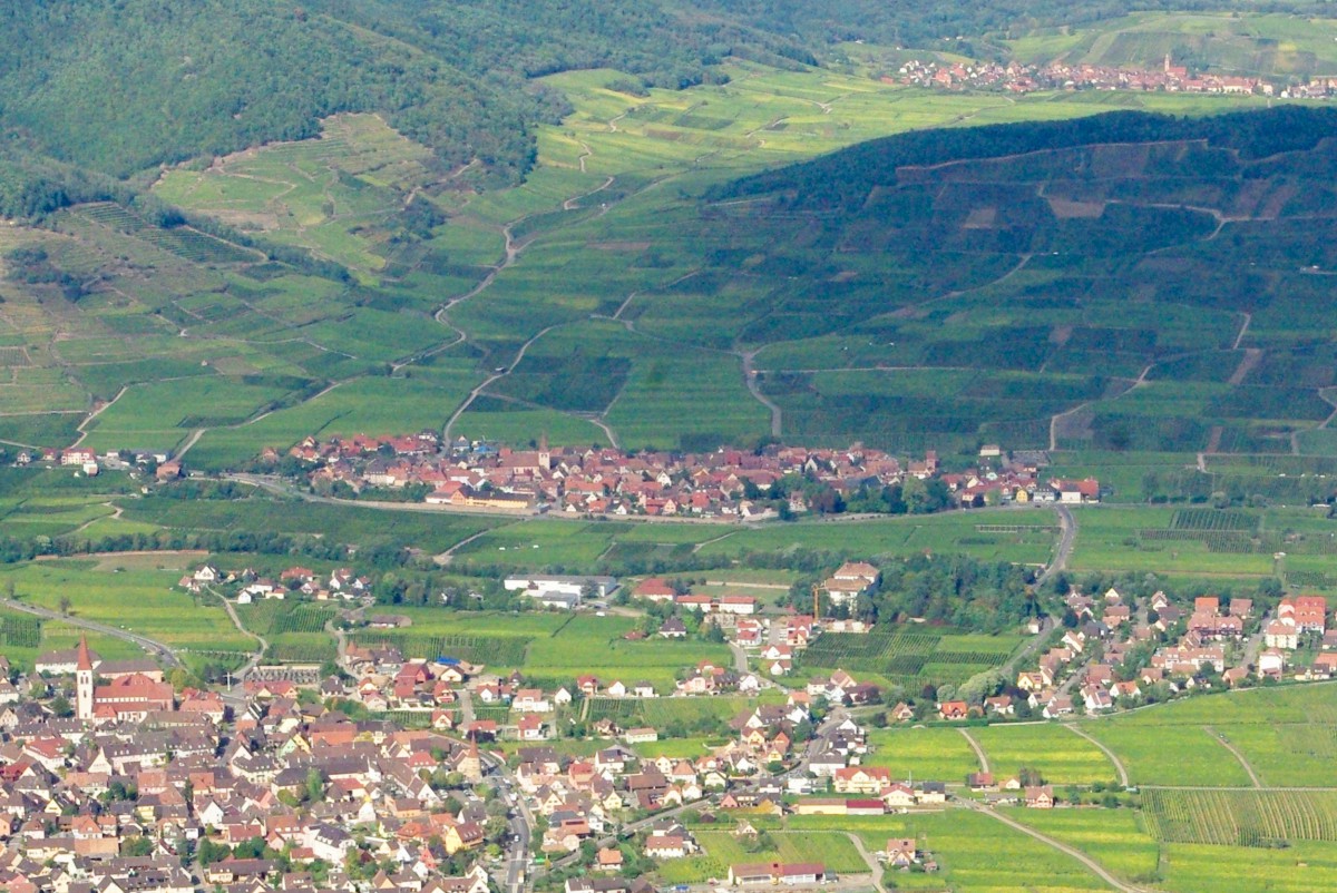 Découvrir Kientzheim, village du vignoble alsacien - Mon Grand Est