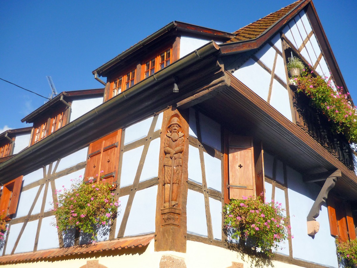 Découvrir Kientzheim, village du vignoble alsacien - Mon Grand Est