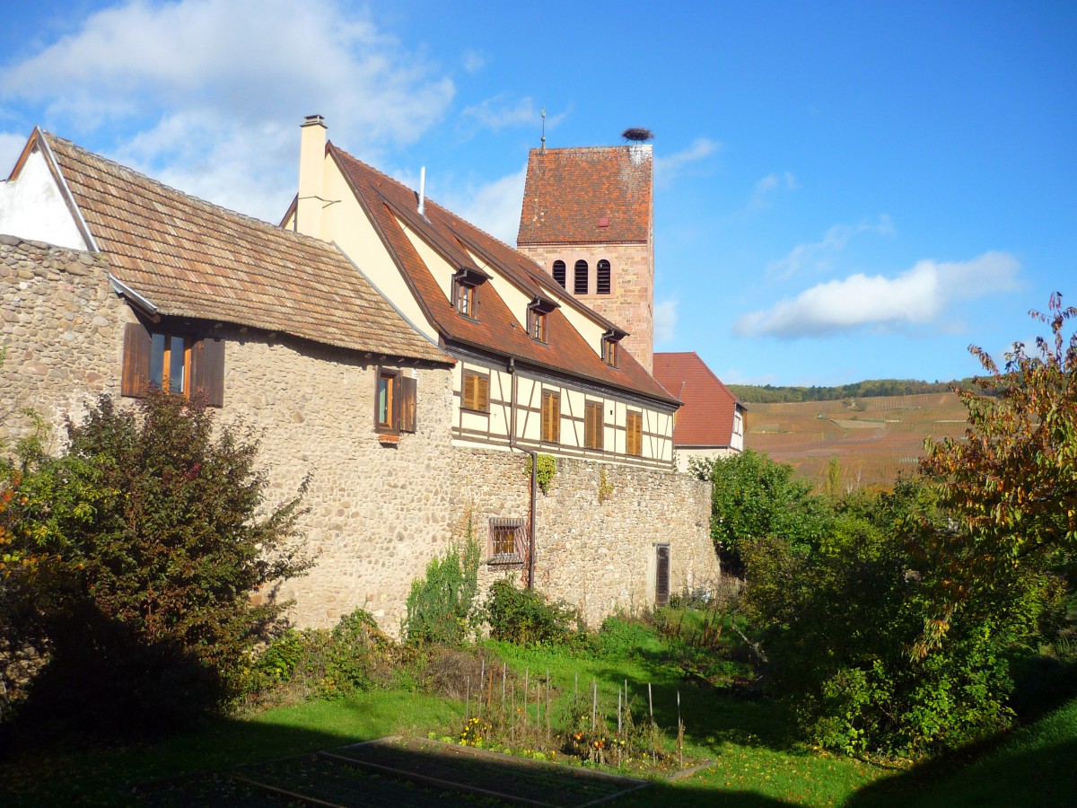 Découvrir Kientzheim, village du vignoble alsacien - Mon Grand Est