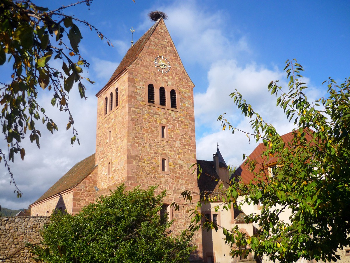 Découvrir Kientzheim, village du vignoble alsacien - Mon Grand Est