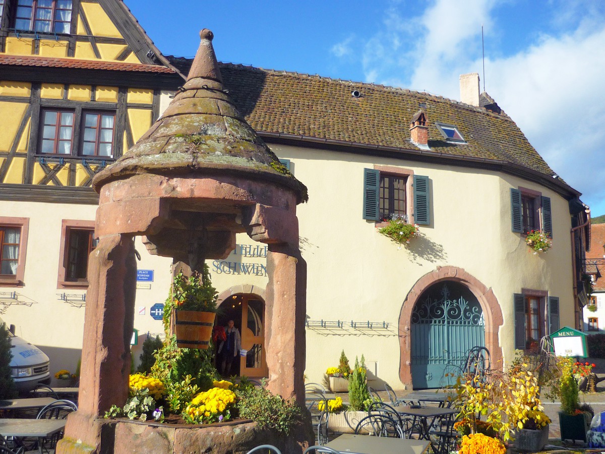 Découvrir Kientzheim, village du vignoble alsacien - Mon Grand Est