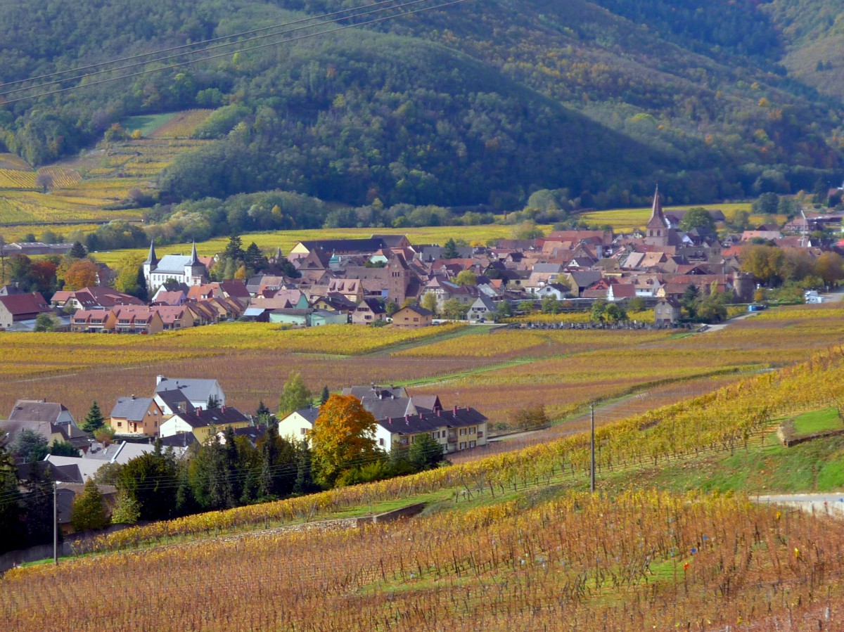 Découvrir Kientzheim, village du vignoble alsacien - Mon Grand Est