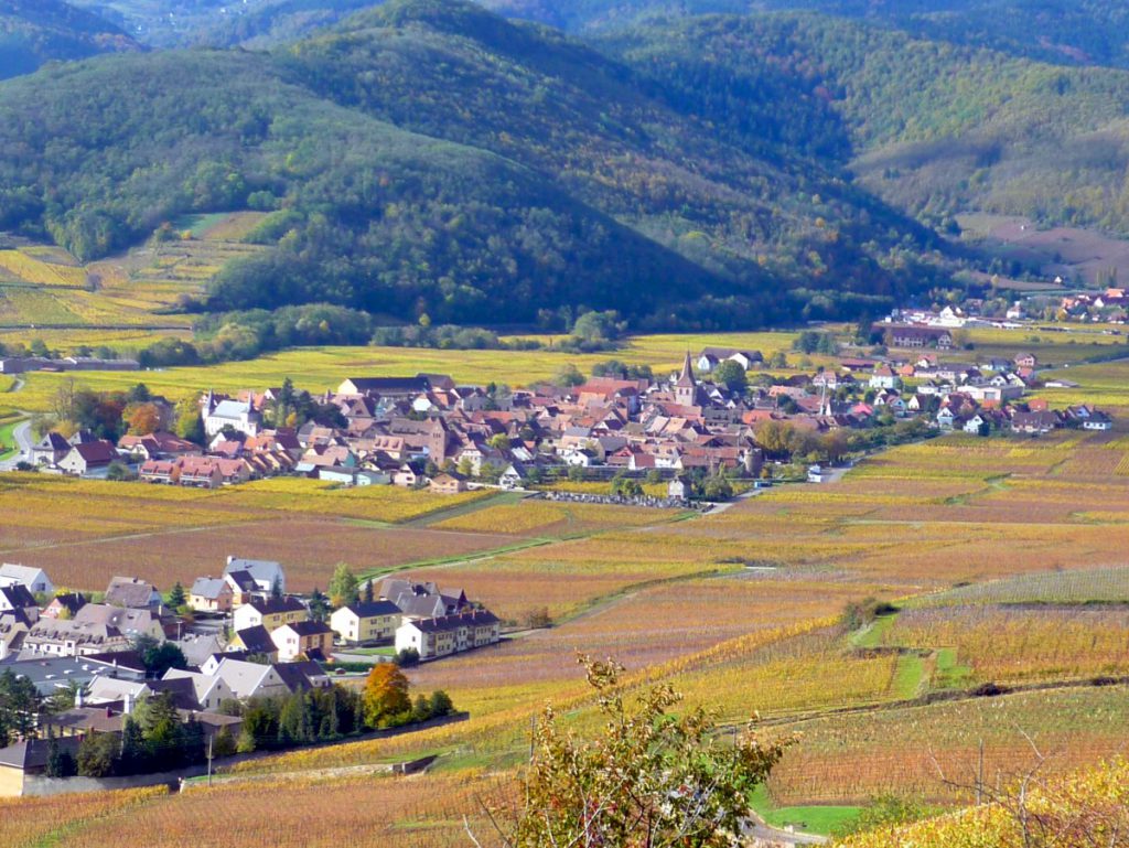 Découvrir Kientzheim, village du vignoble alsacien - Mon Grand Est