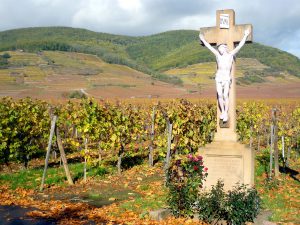 Découvrir Kientzheim, village du vignoble alsacien - Mon Grand Est