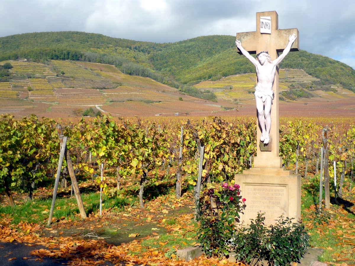 Découvrir Kientzheim, village du vignoble alsacien - Mon Grand Est