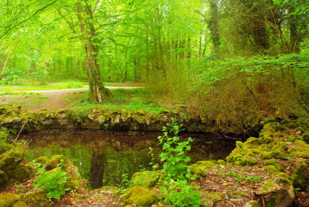 Balade-découverte dans le Parc de Noisiel - Mon Grand Est