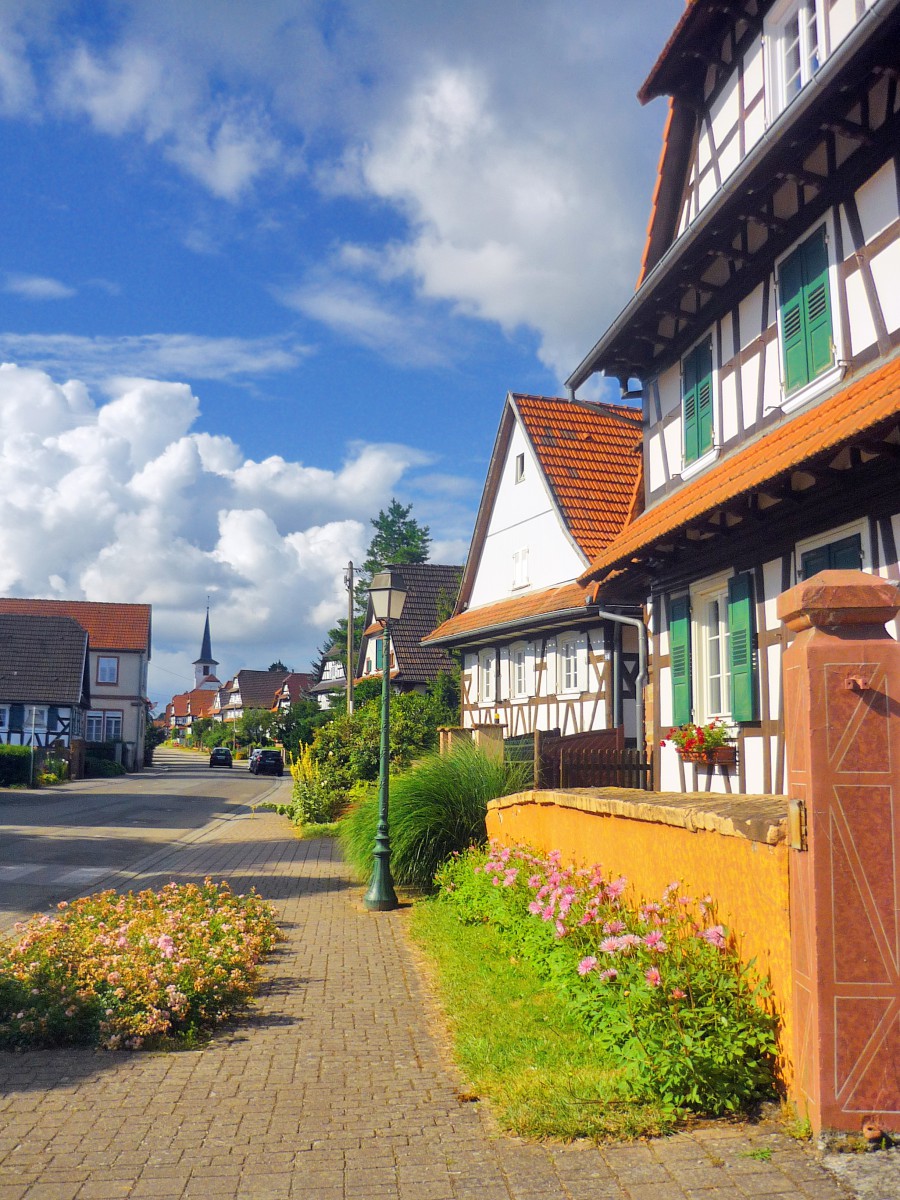 Pourquoi il faut découvrir Seebach en Alsace - Mon Grand Est