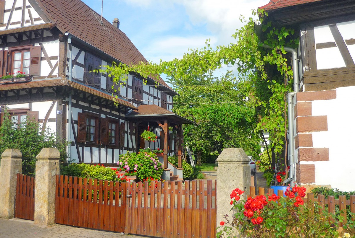 Pourquoi il faut découvrir Seebach en Alsace - Mon Grand Est