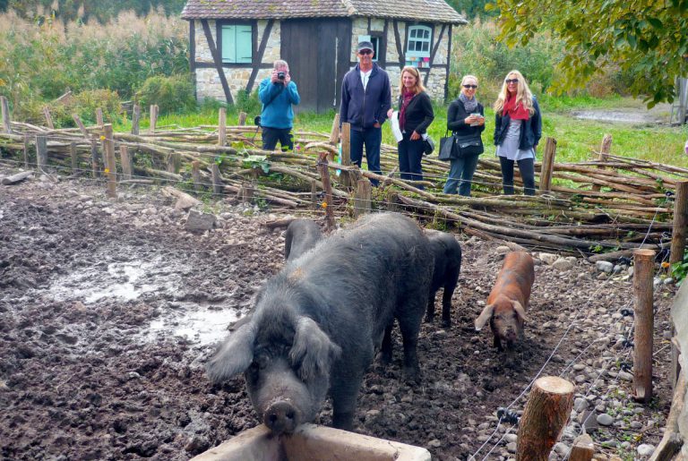 EnFranceAussi : revivez le passé à l'écomusée d'Alsace - Mon Grand Est