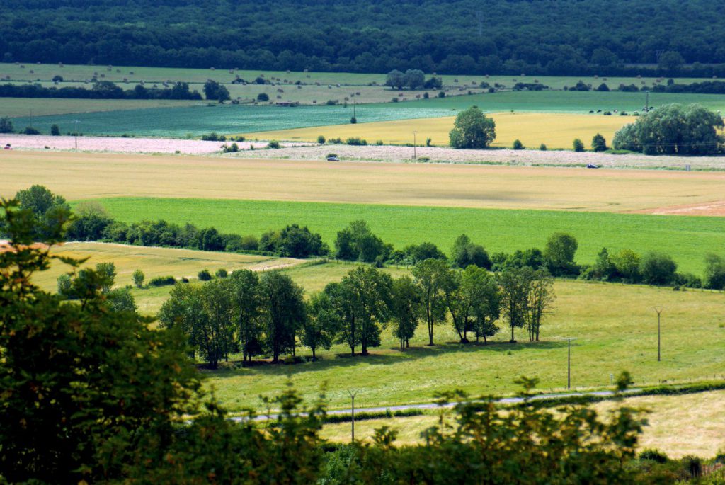 Évasion en Alsace-Lorraine : 10 sites qui inspirent à rêver - Mon Grand Est