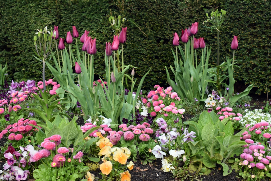 Metz Gardens Spring 06 © French Moments - Mon Grand Est