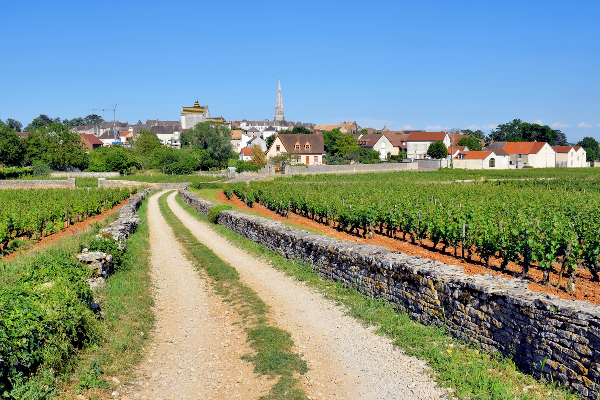 Meursault in Burgundy 16 © French Moments - Mon Grand Est