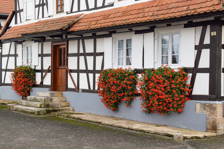 Découvrez Hunspach, le Village Préféré des Français - Mon Grand Est