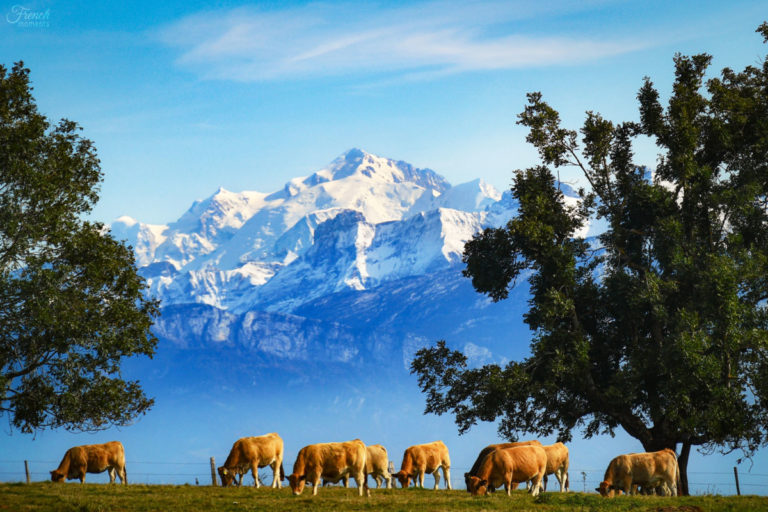 Accueil - Mon Grand Est