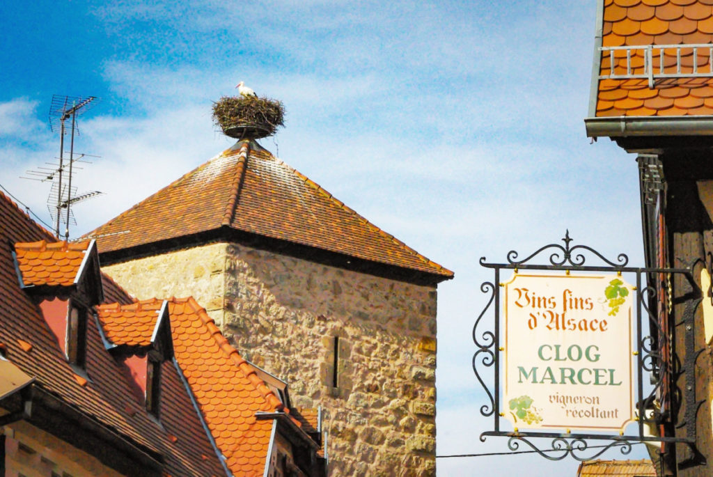 Dambach-la-Ville : découverte d'une localité pittoresque - Mon Grand Est