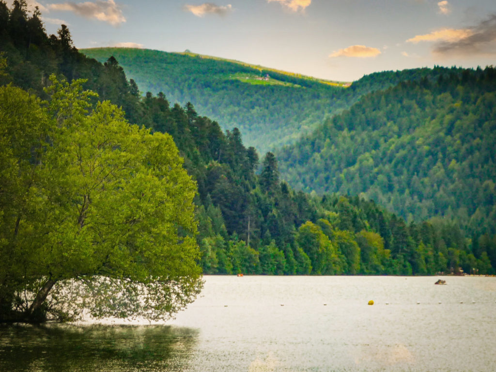 La Vallée des Lacs : Visite des 3 lacs vosgiens - Mon Grand Est