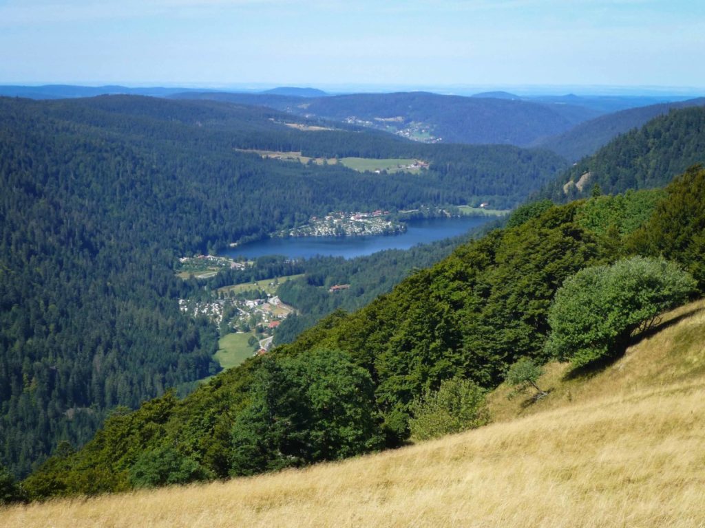 Le massif des Vosges entre Lorraine et Alsace - Mon Grand Est